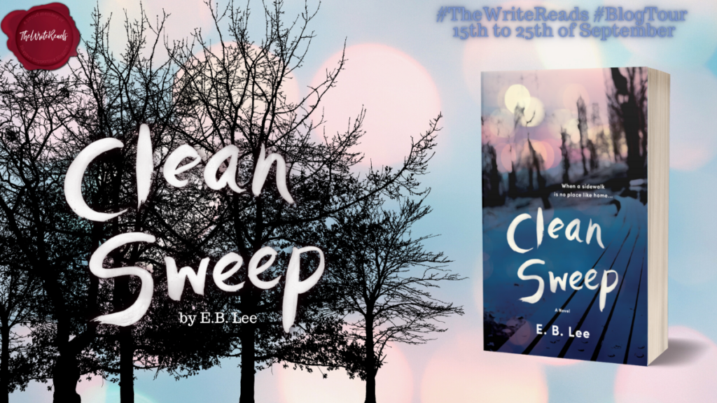 Book Review | Clean Sweep | By E B Lee - Bookbugworld
