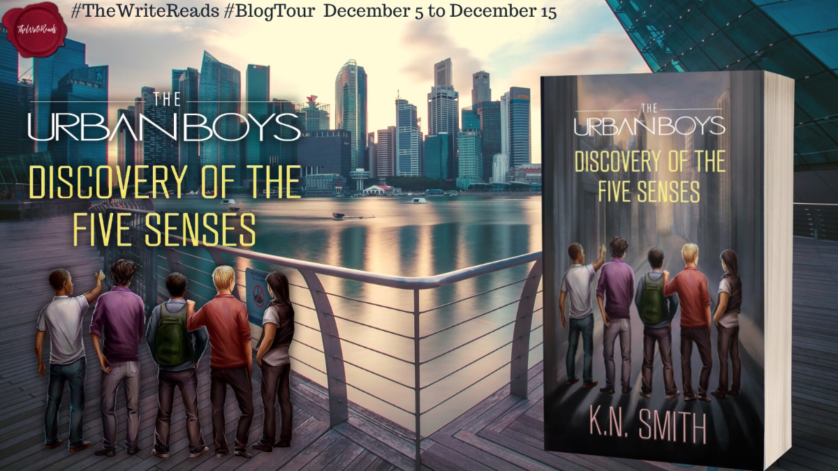 The Urban Boys : Discovery of the Five Senses | By K N Smith - Bookbugworld